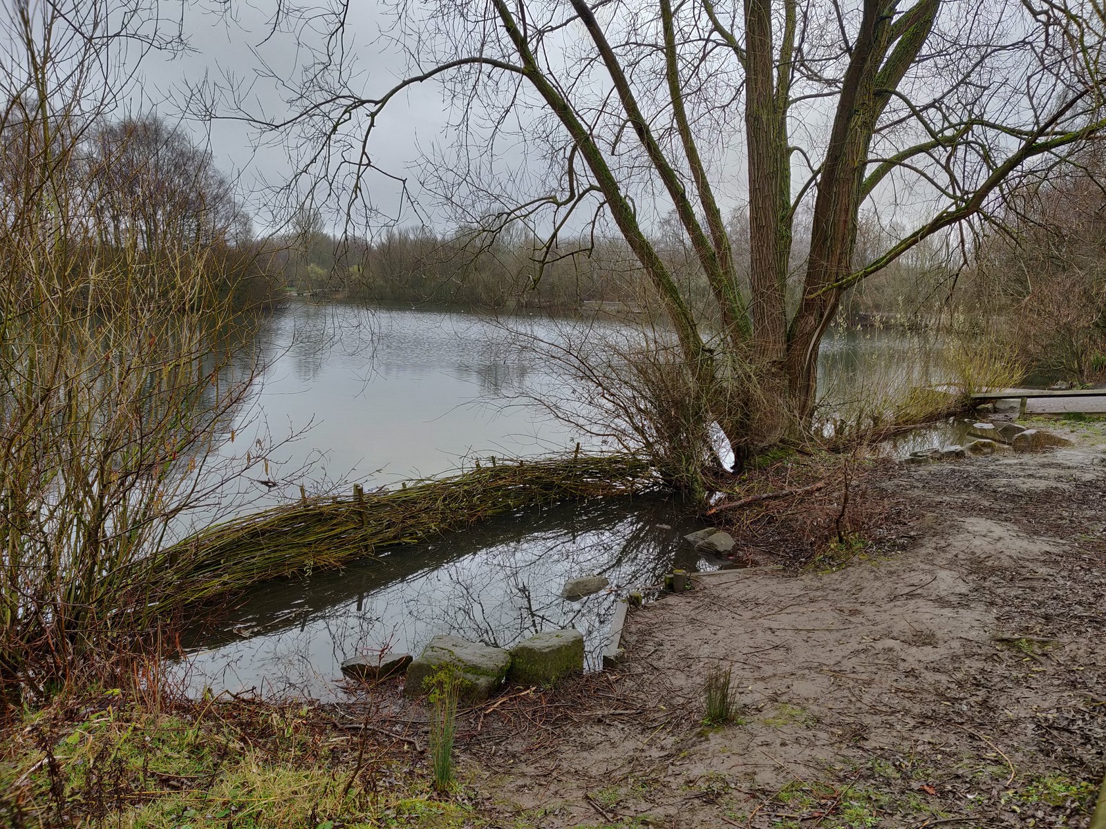 Willow structures | SMCV